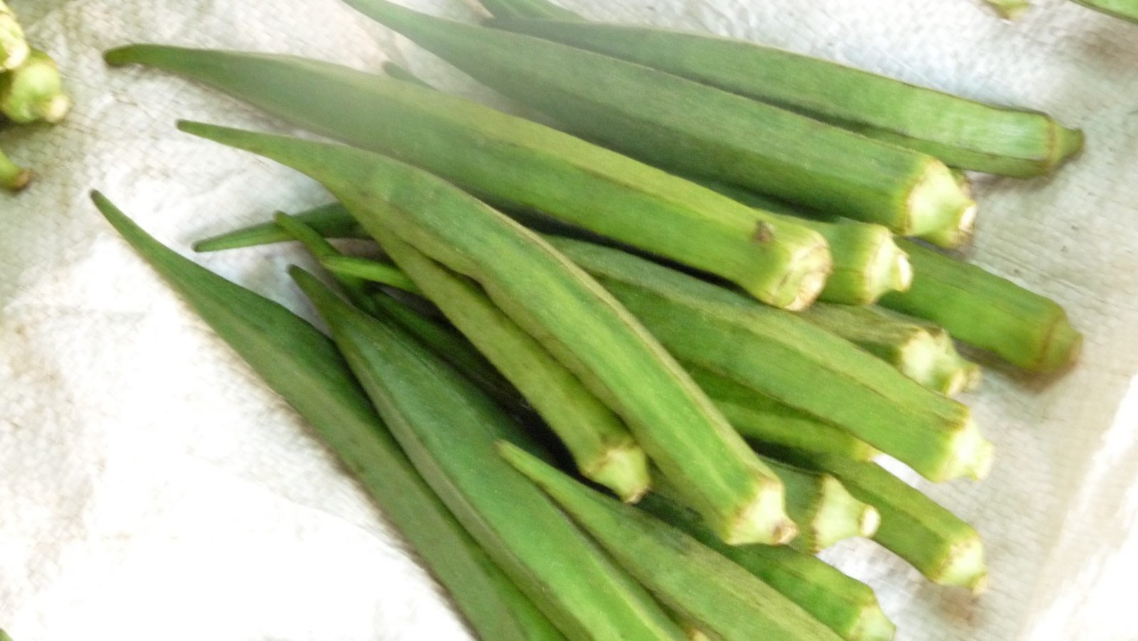 Légumes indiens, un apport nutritionnel considérable!